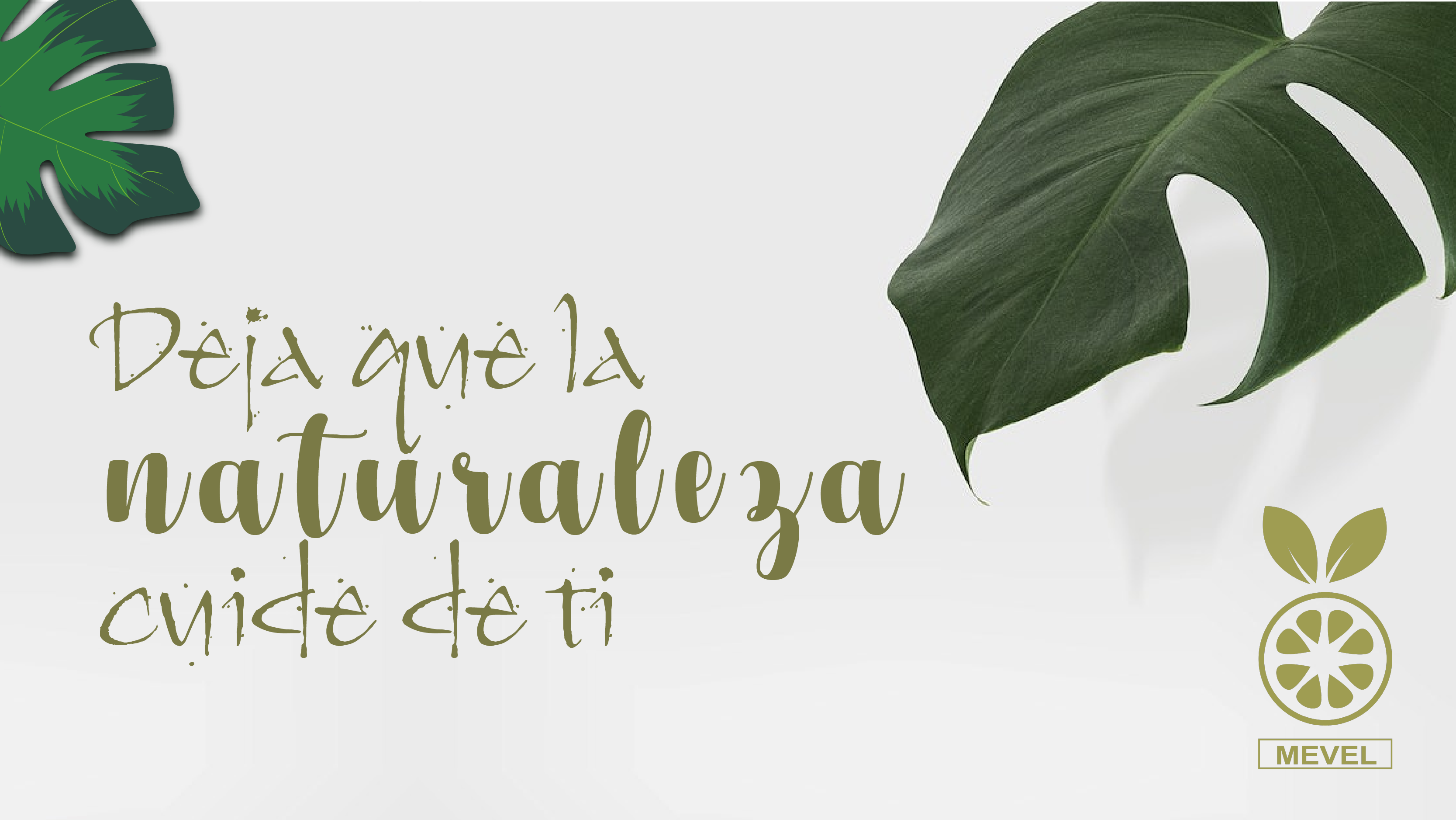 Home - Mevel Organic Cuidado Natural del Cabello